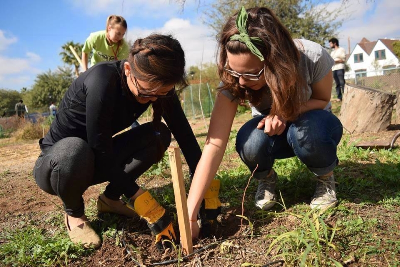 Sustainable Built Environments | Arizona Environment Sustainable Built Environments | Arizona Environment